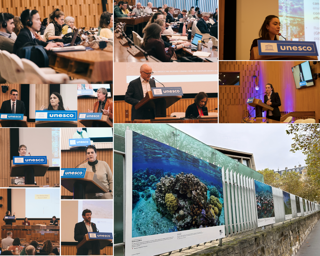 Sharing stories with MaCoBioS at Blue NBS week » MacoBios